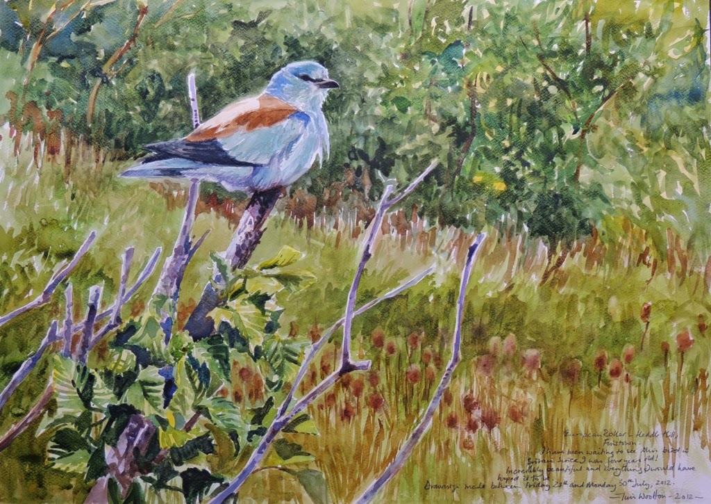 Tim Wootton Wildlife Art