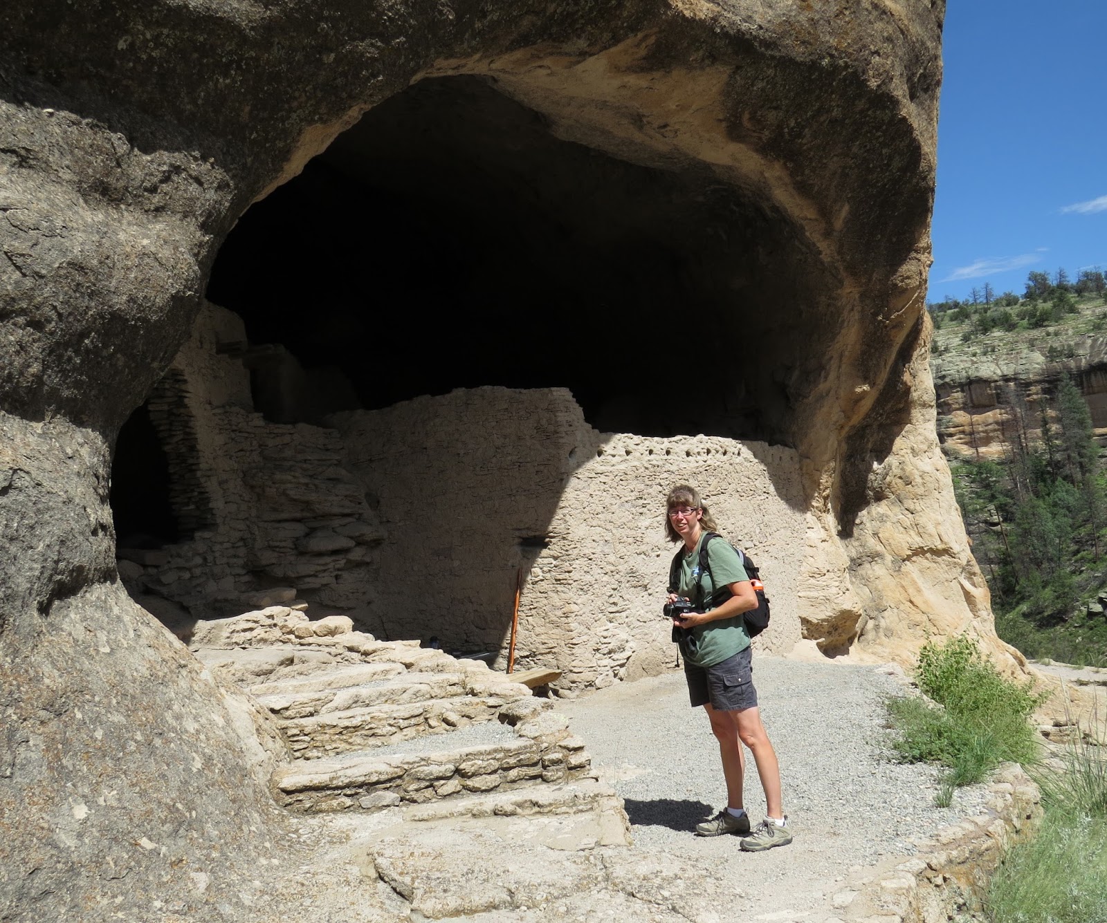 Bug Eric: New Mexico Dragonfly Blitz - Day 3