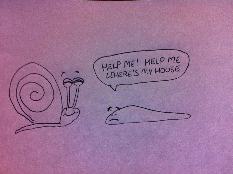thoughts of a messy bean: Are slugs homeless snails?