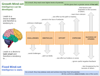 Growth Mindset & Feedback Cats: Find inspiration in the success of others.