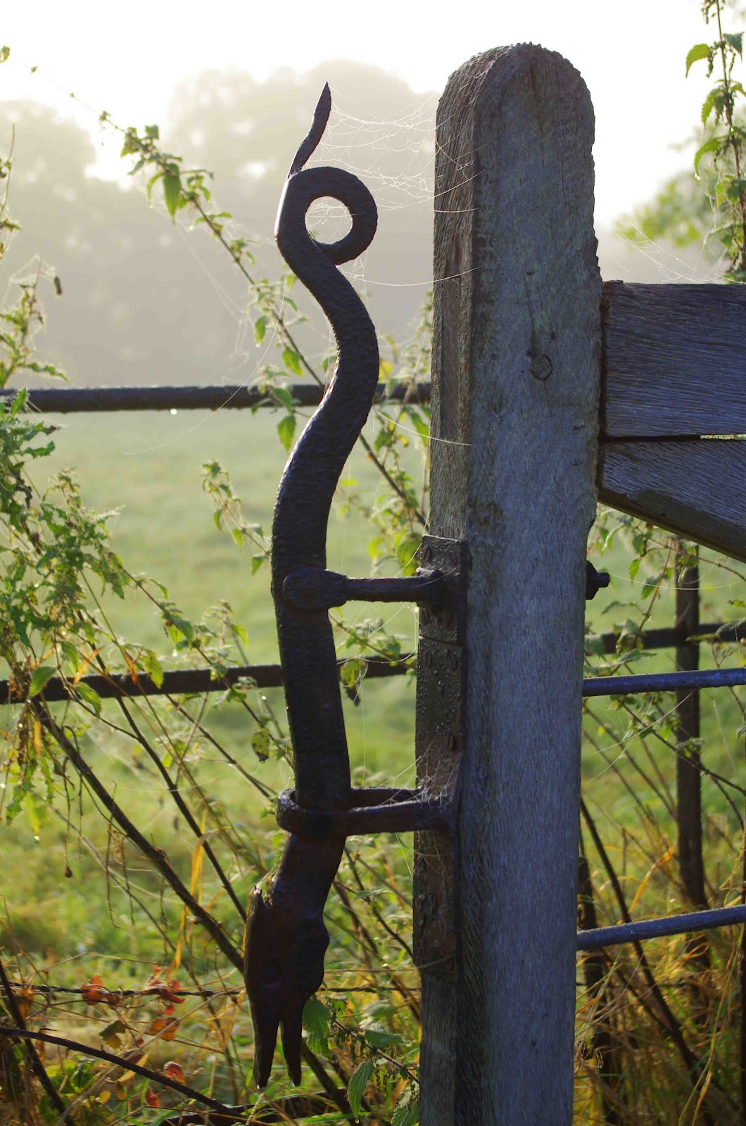 Out & About: Ellastone & Calwich Abbey