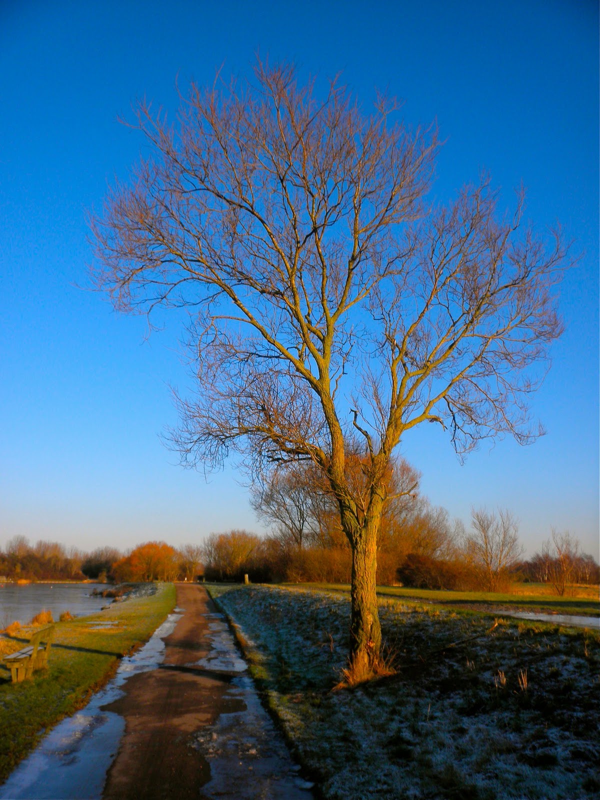 Moment to Moment: On a cold clear day