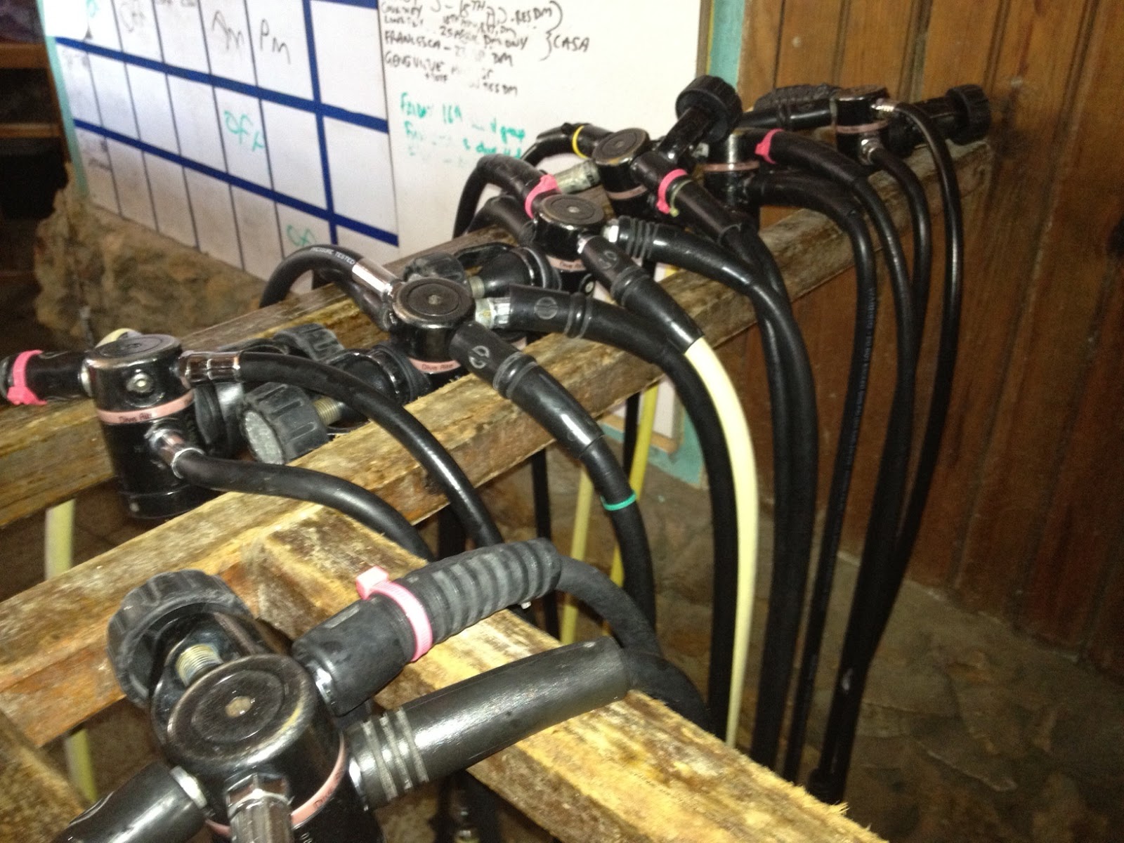 DiveGearReview: Dive Rite First Stage "bulletproof"