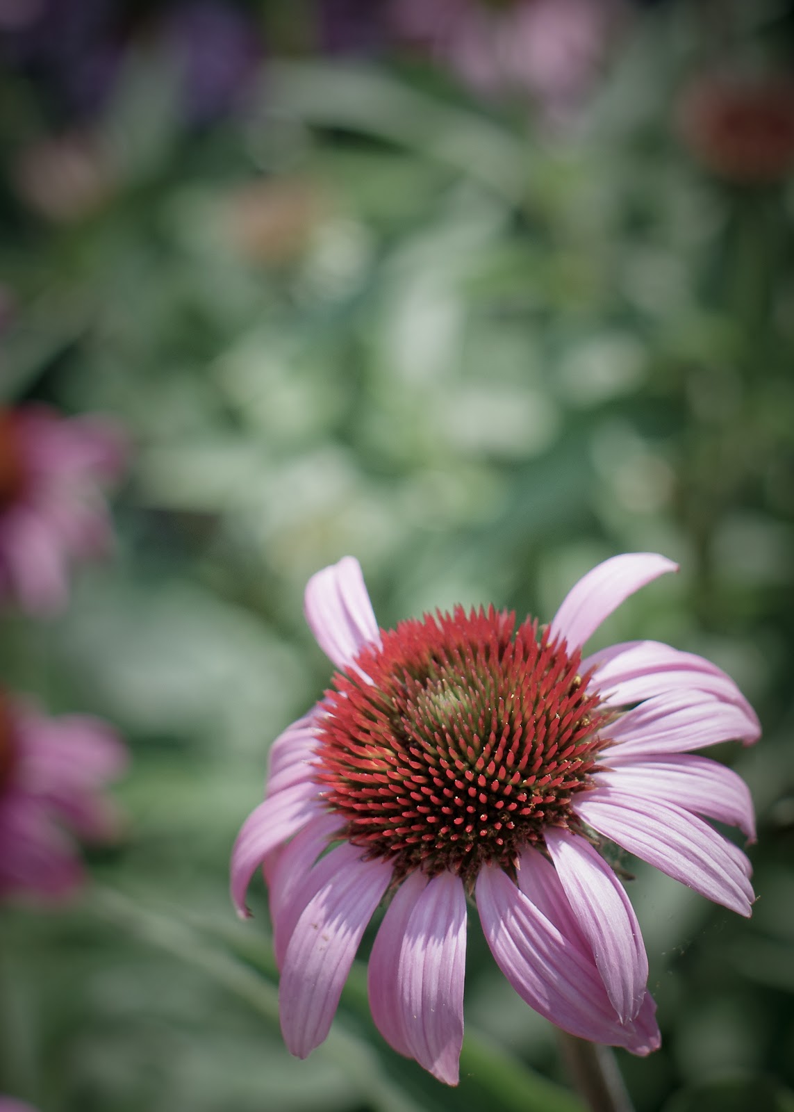 be yourself...everyone else is taken: July 2012