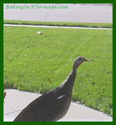 Baking in a Tornado: Take 1-December Secret Subject Swap