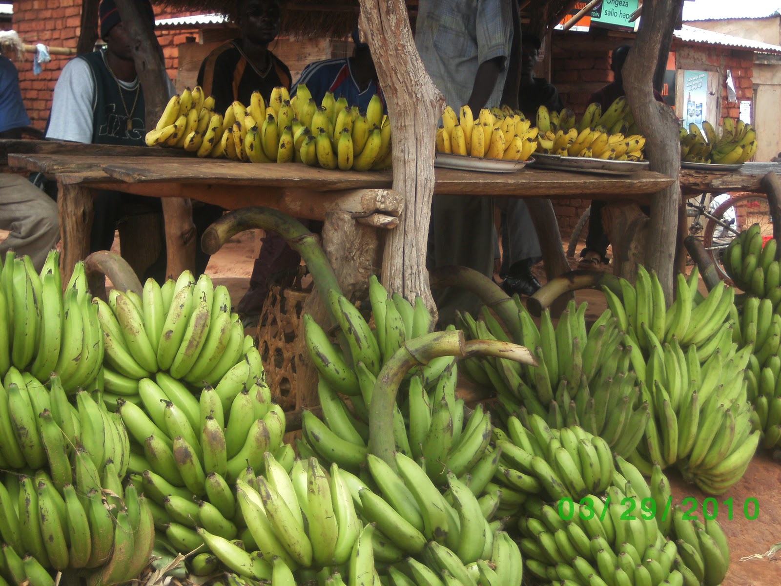 MAISHA NA MAFANIKIO: November 2011