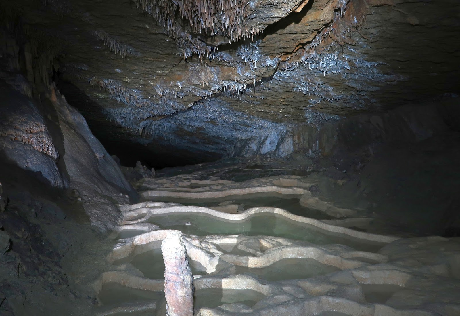 davidmalabarista 2.0