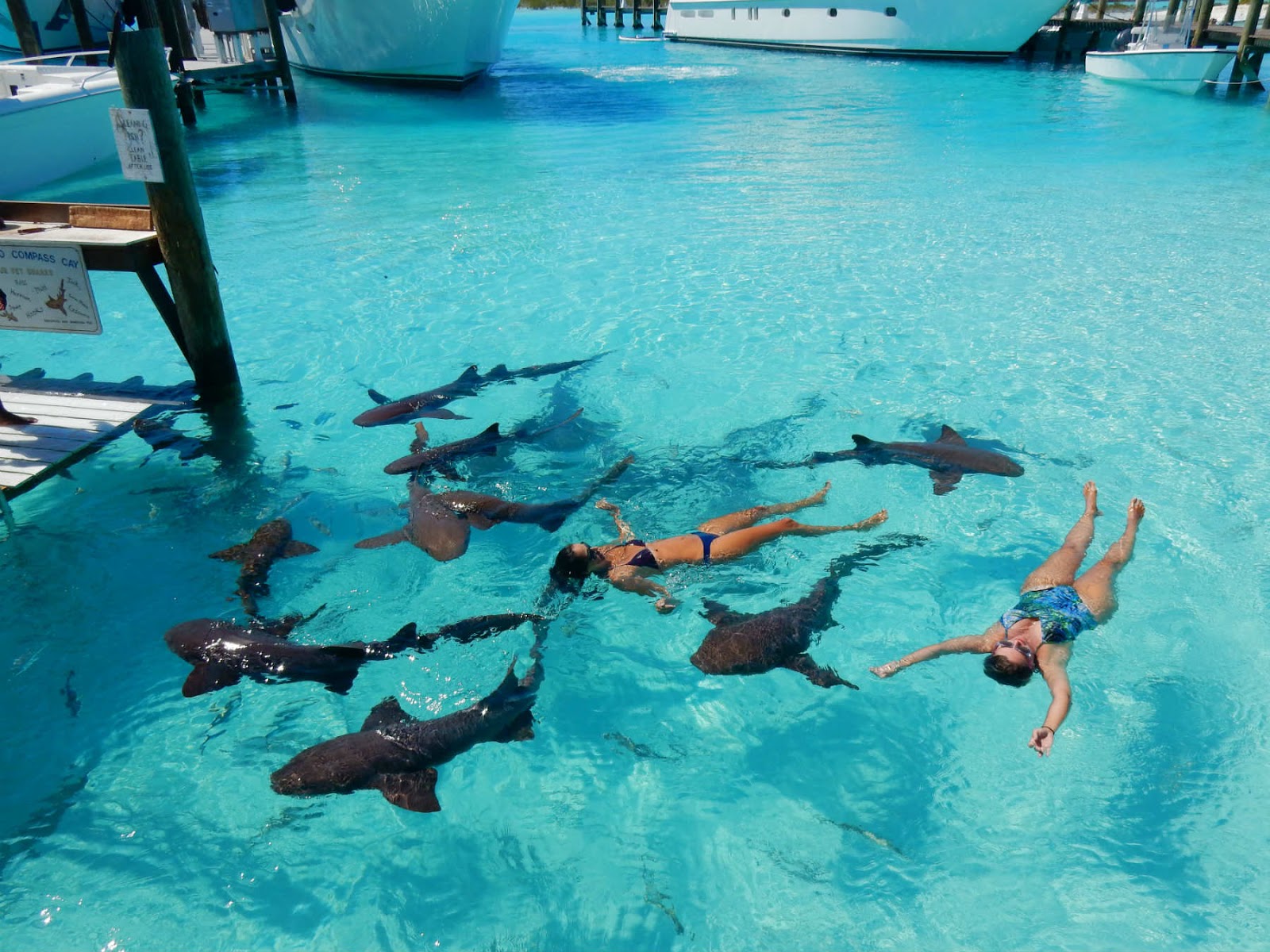 Dicas de viagem para as Exumas, nas Bahamas - Renata Viaja...