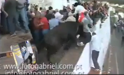 Bull vs Human ( Amazing Video) - Best Right Way