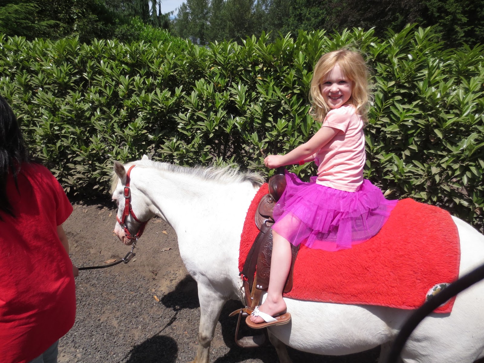 Mason Manor: Remlinger Farms