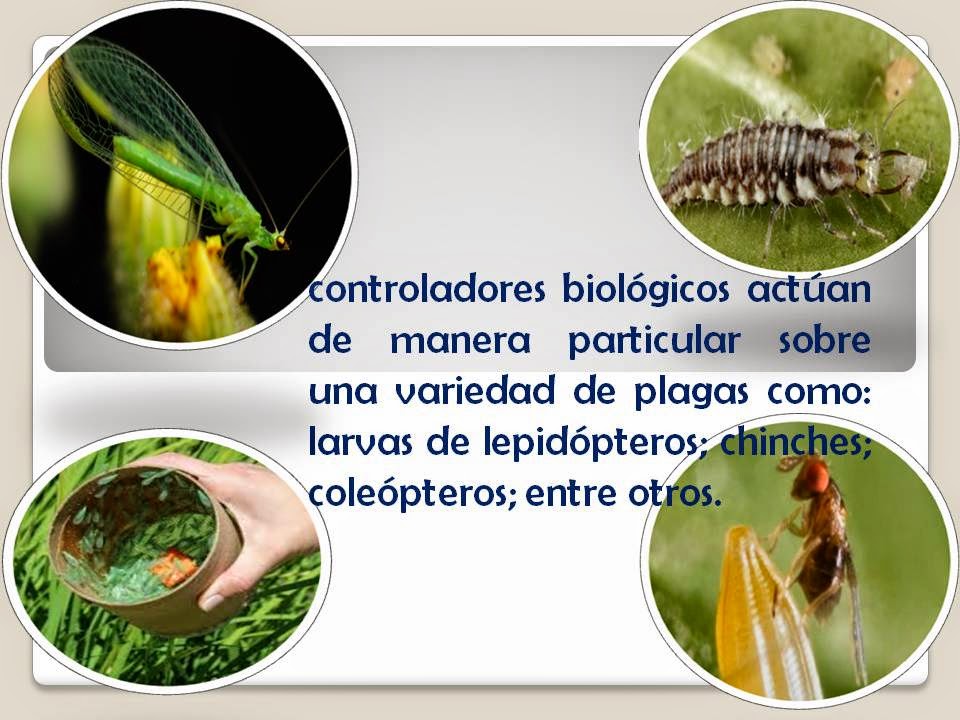 Controladores Biológicos JAKE.