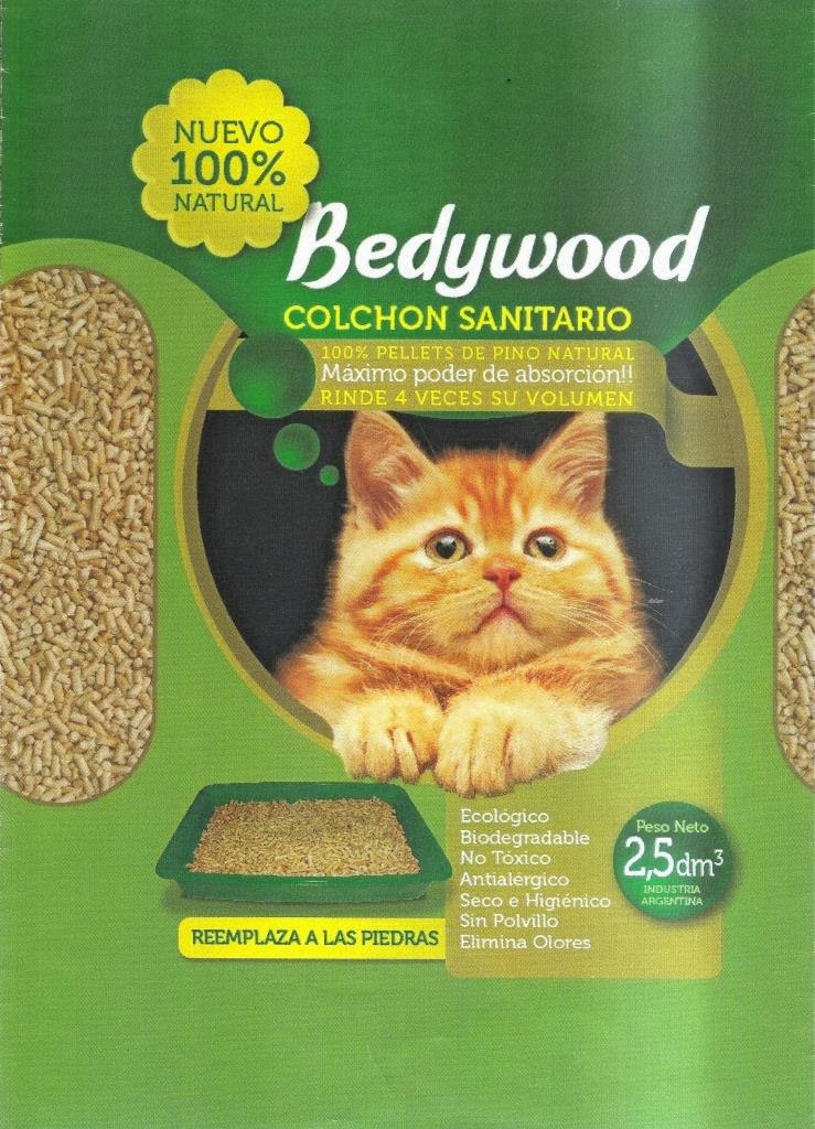 Gatitos de la Sarmiento: ¿Cómo prepararnos para recibir un gatito en casa?