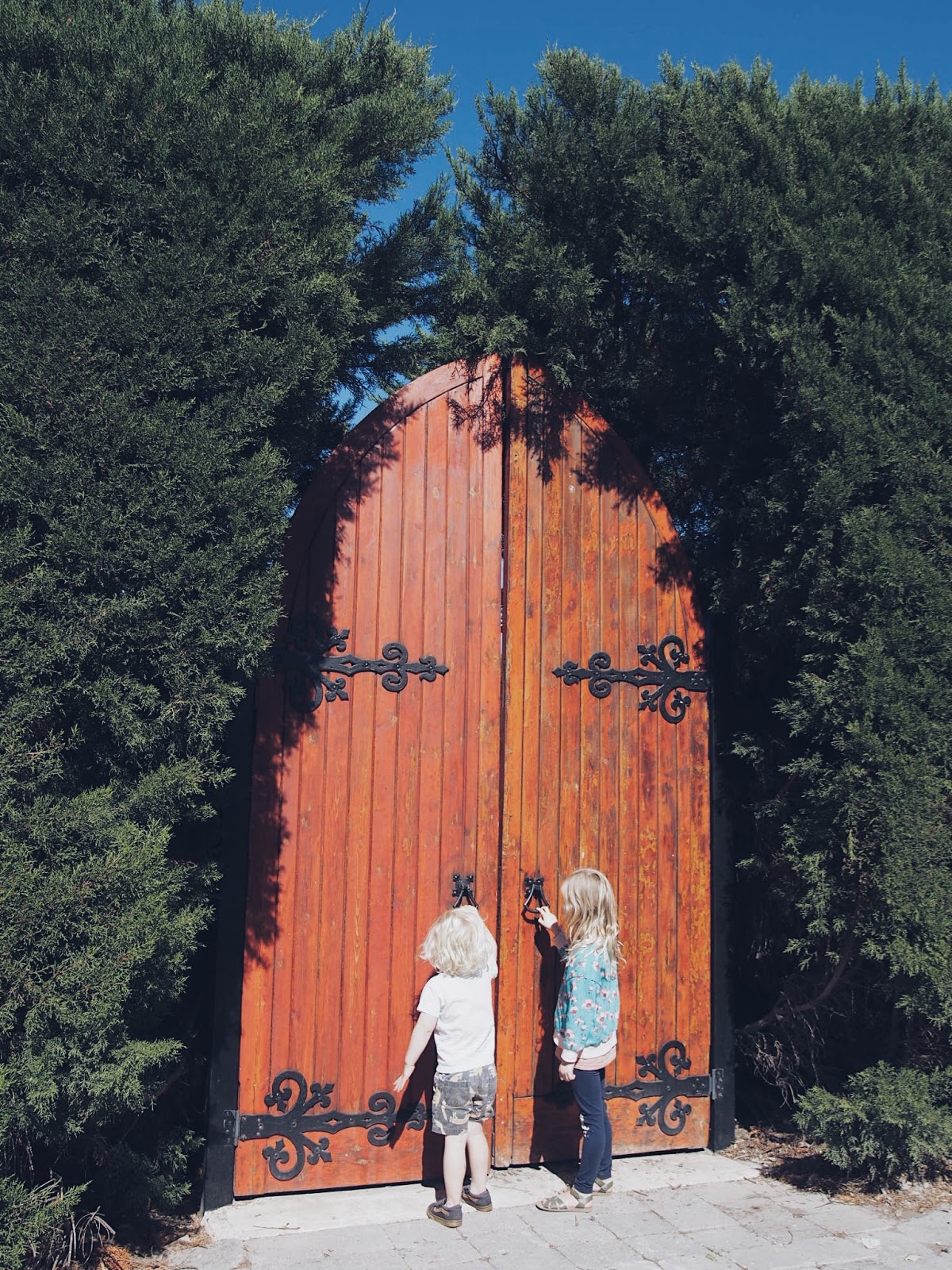 Barrabool Maze Estate Ceres Review | Yellow Dandy