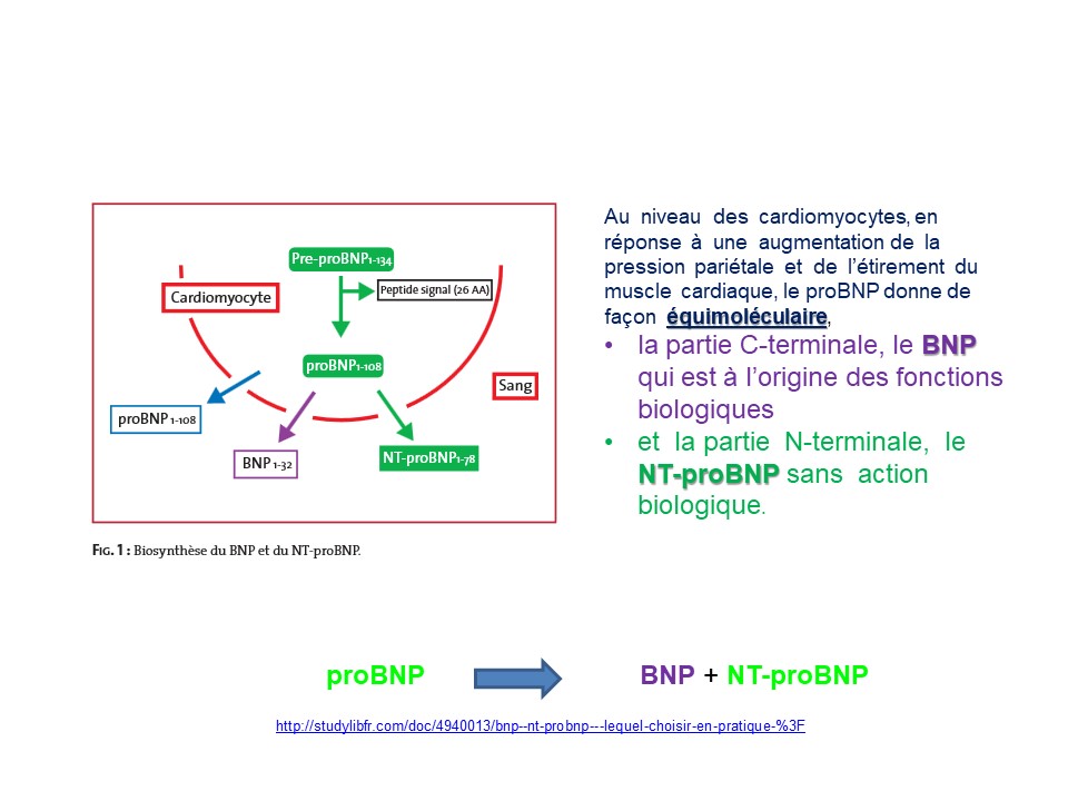 CAnalyses: Etudes de Cas Analyses Medicales: BNP et NT-proBNP sous Entresto