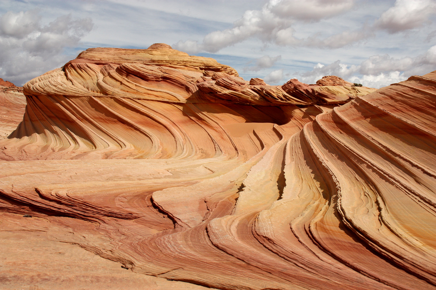 OutinDeWoods: The Wave, Arizona