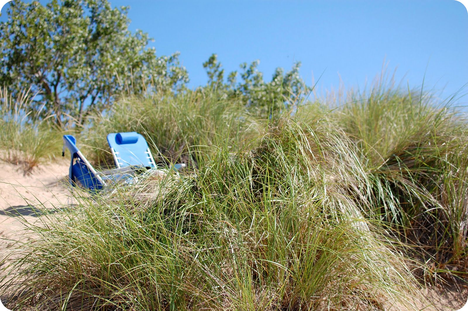 33 Shades of Green: Blue Skies at Lake Michigan
