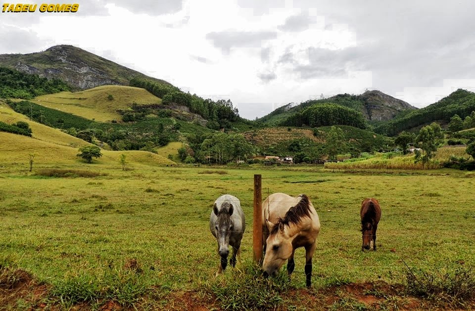 Imagens Rurais: Paisagens Rurais 6