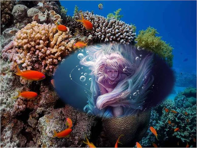 DIVAGAR SOBRE TUDO UM POUCO - Poemas, Flores, Pinturas, Férias ...