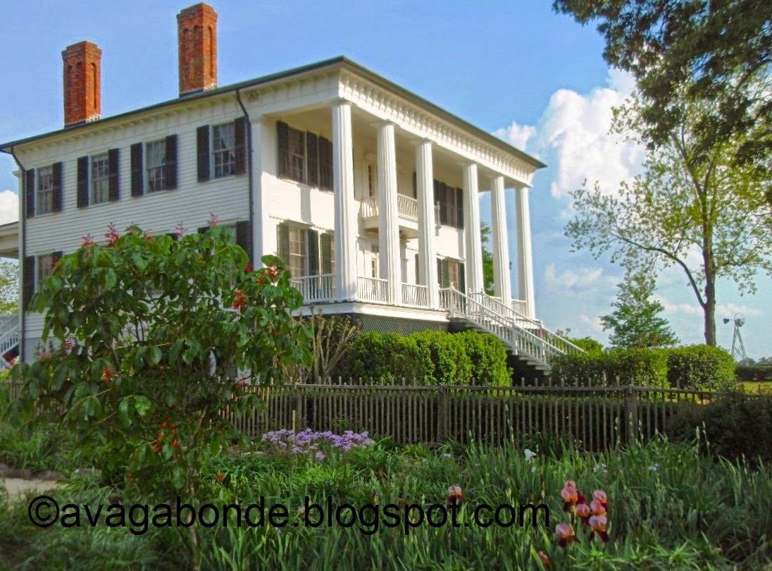 Recollections of a Vagabonde: Shoulderbone Plantation