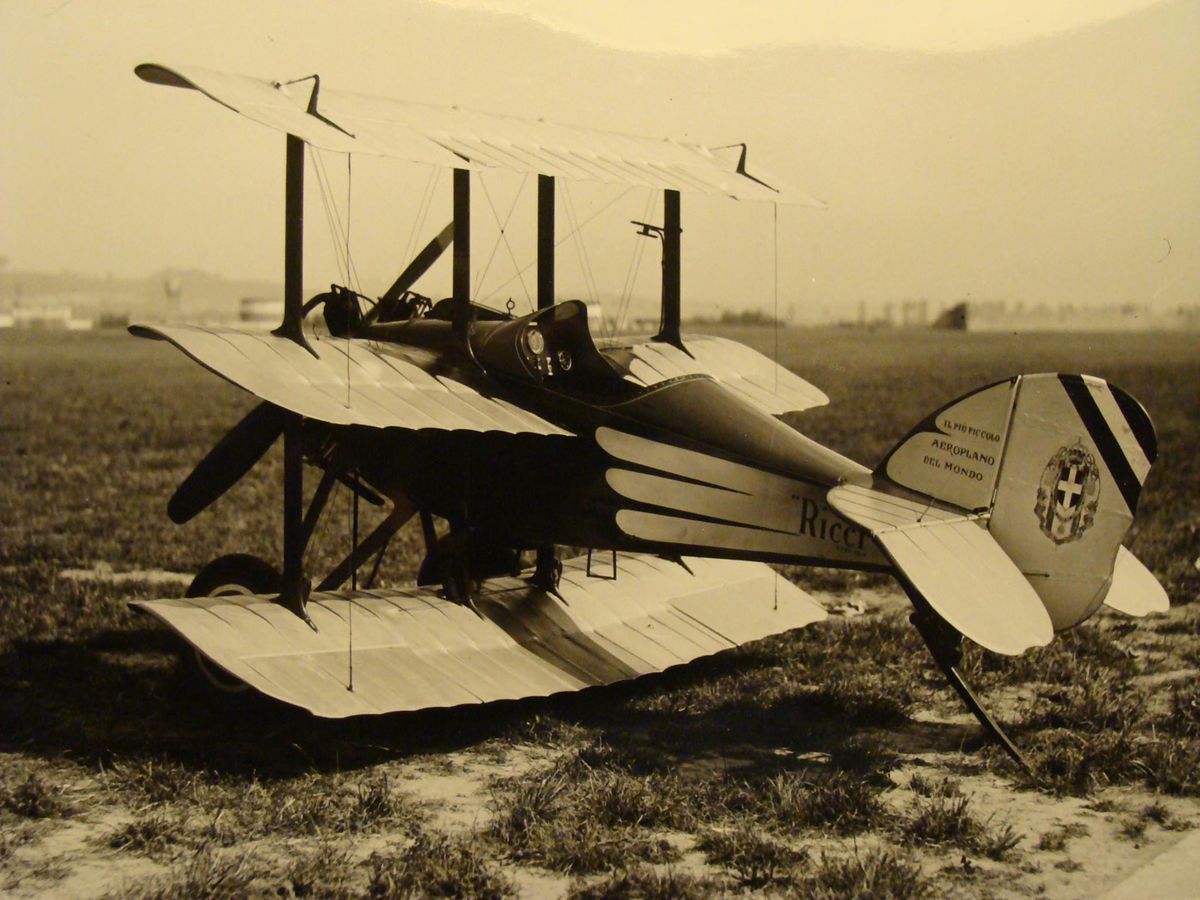 Ricci R.6 Triplane : r/WeirdWings