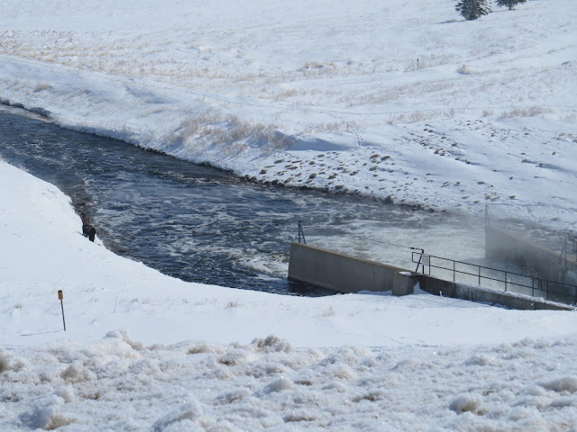 Still Life With Birder: The Draining of Rafferty Reservoir
