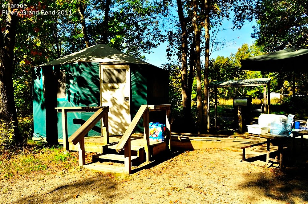 This Randomness: Pinery Provincial Park - 1