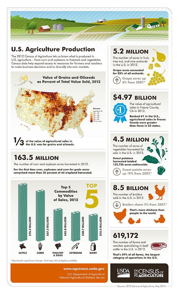 U.S. Agricultural Production Infographic by Crop | Big Picture Agriculture