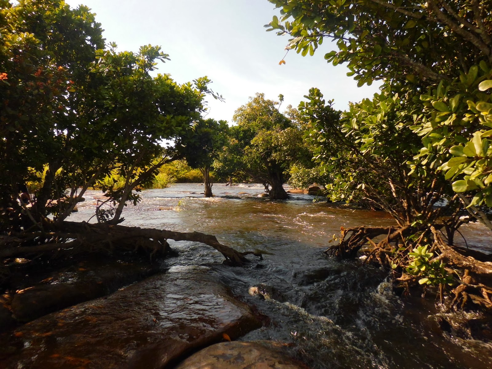 Viagem para Cacuso - Angola