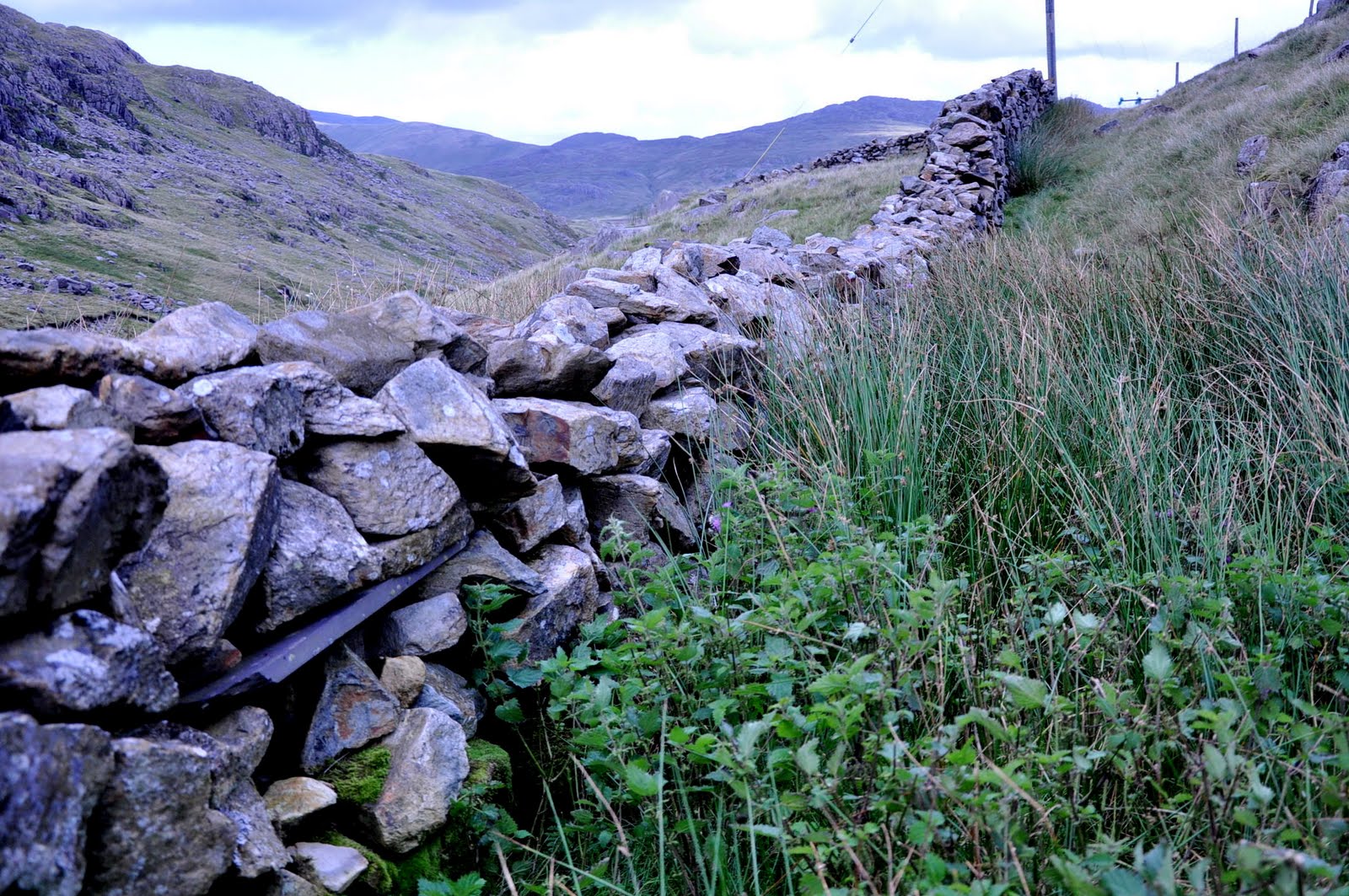 peppercorns in my pocket: Araf, araf, araf