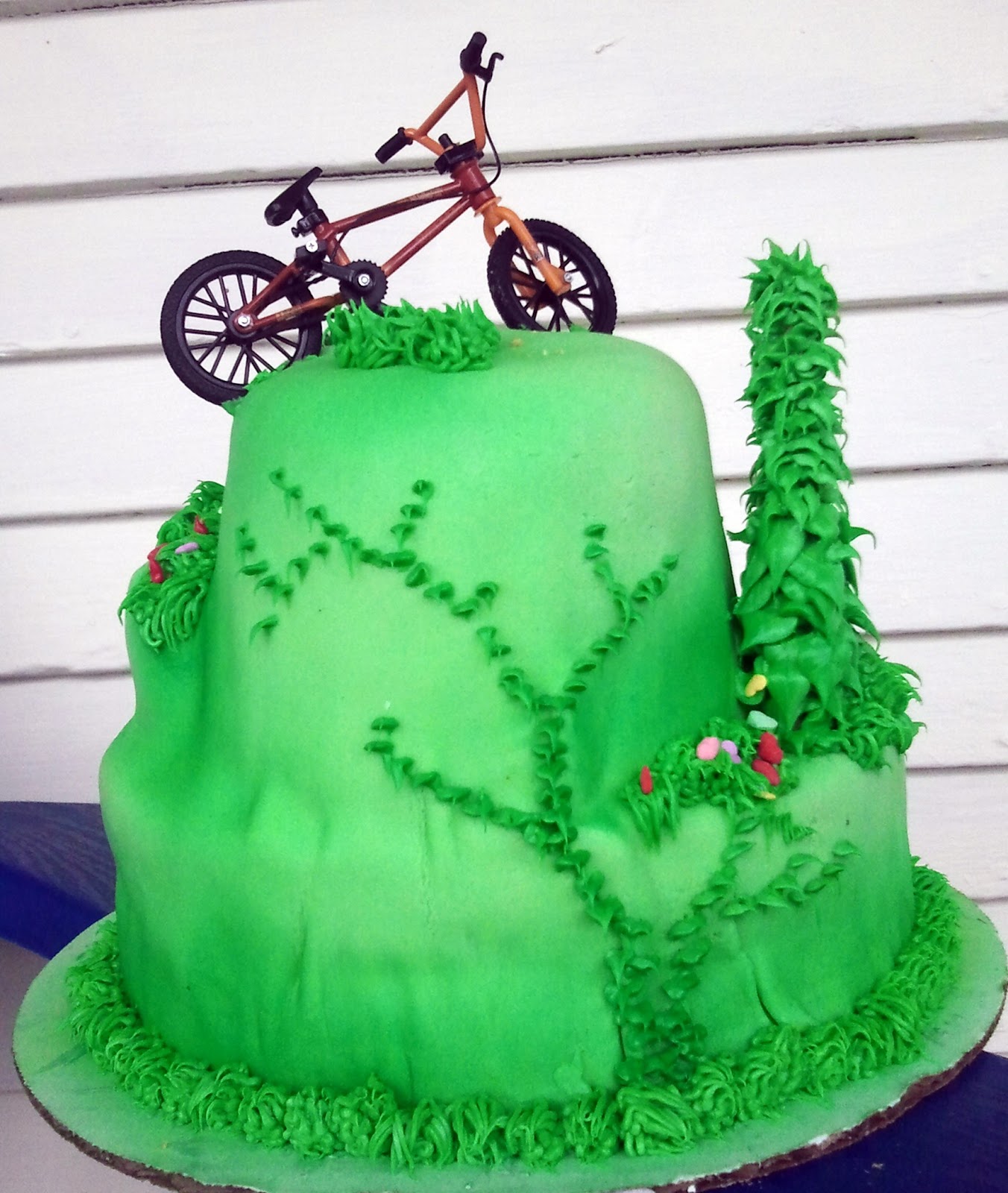The Cake Villain: Mountain Bike Birthday Cake