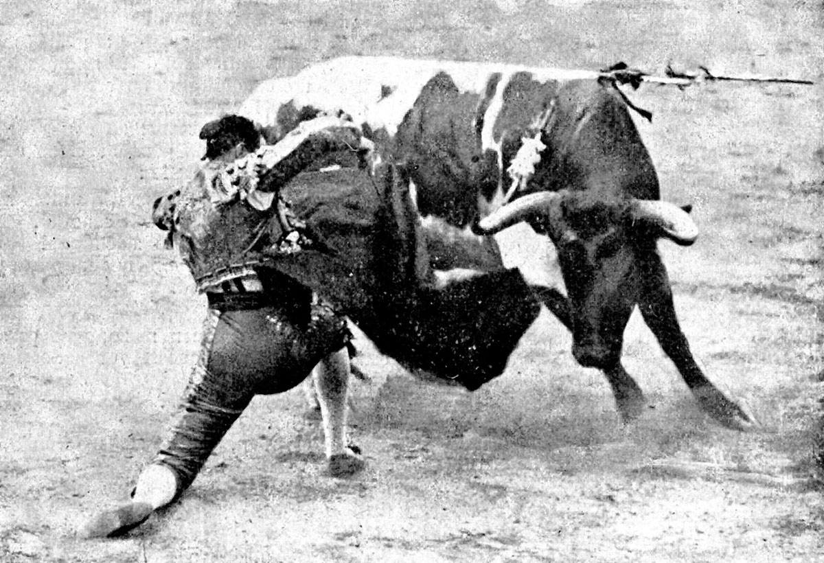 La razón incorpórea: Torear para el toro