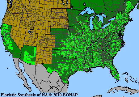 Restoring The Landscape With Native Plants: Native Plant of the Week ...