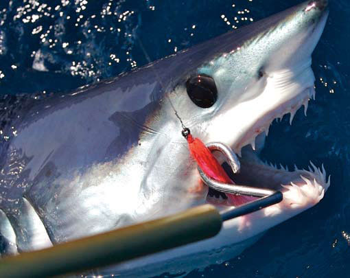 Lone Star Parson: Deep Sea Lee