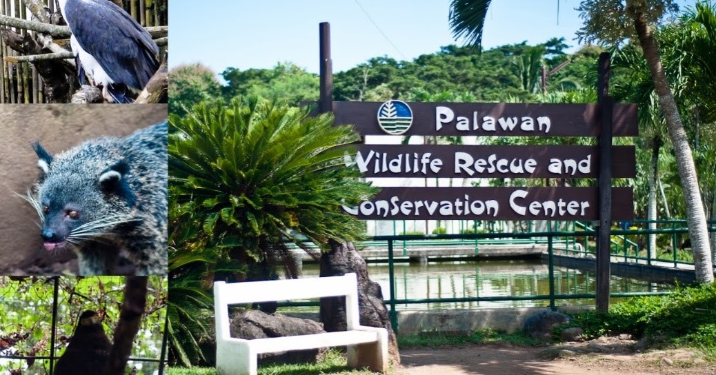 The Land of Promise: Palawan Wildlife Rescue and Conservation Center ...
