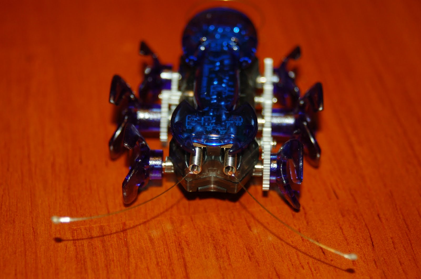 Hexbug Micro Robotic Creatures Review STEM Toys for Kids