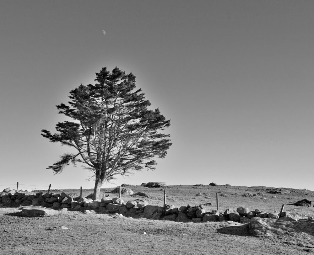 Scrapbook: February 2011