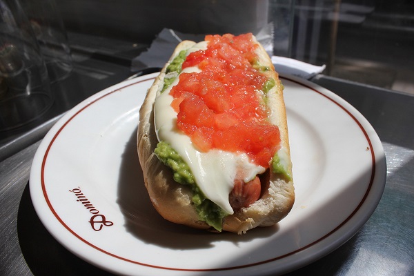 Şili'de yaşam Şilide oturma ve çalışma izni Şili kültürü ve tarihi Şili ...