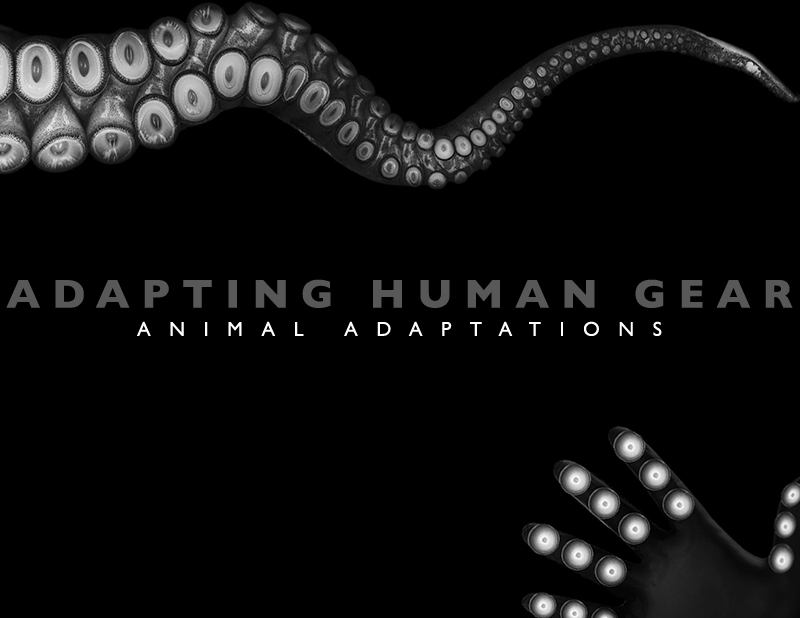 E is for Explore!: March 2014