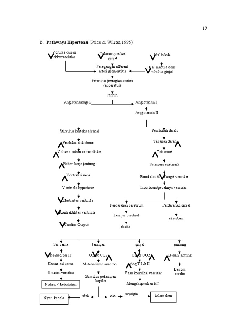 pathway hipertensi - wood scribd indo