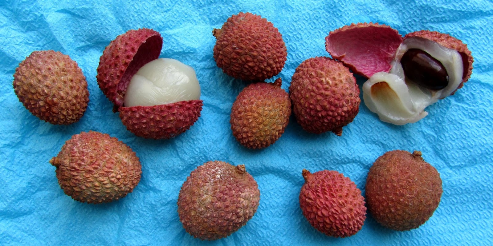 epätrendikäs ruokablogi: Litsi-gorgonzoladippi ja perunalastupaneroidut ...