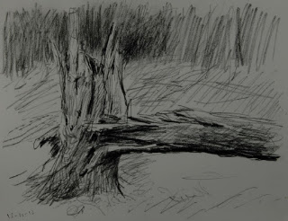 Mark and Remark: Blasted Tree and More Cezanne