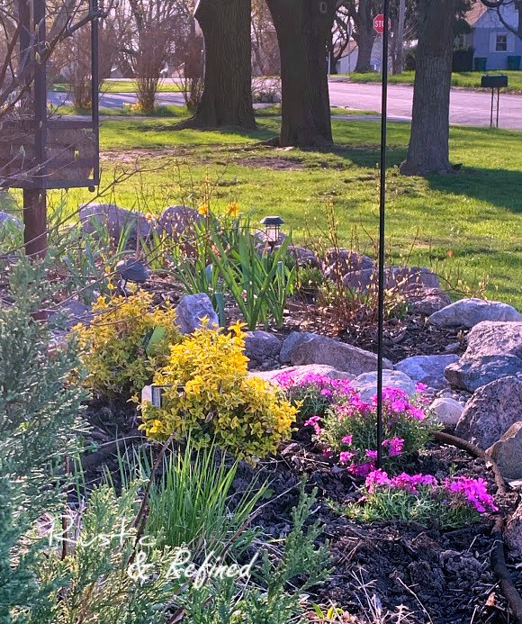 Early Spring Garden Tour | Rustic & Refined