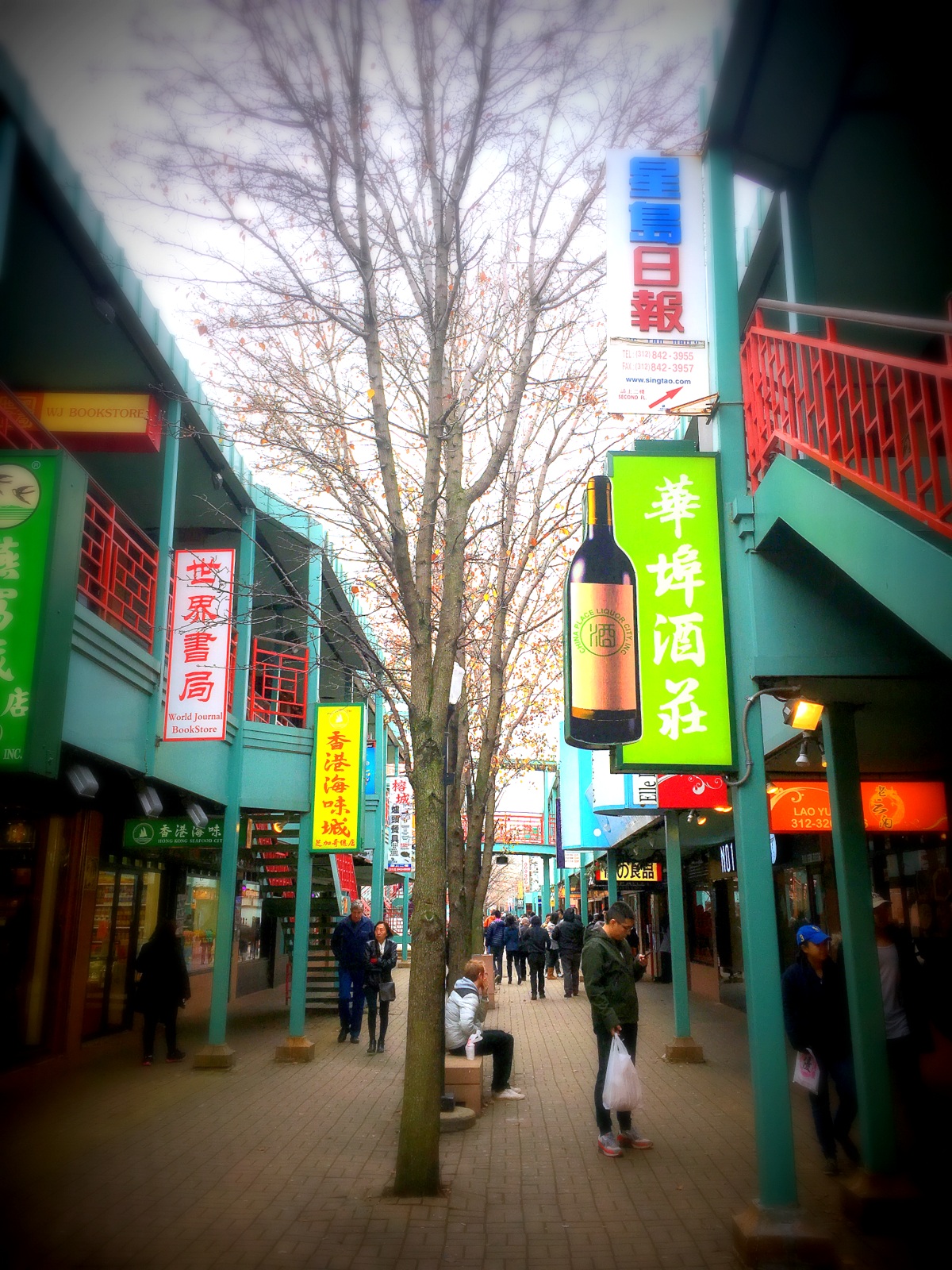 Chicago Neighborhoods Project: Chinatown in Armour Square