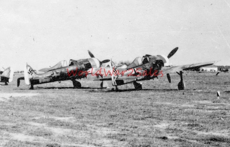 FalkeEins - the Luftwaffe blog: Hermann Graf Kommandeur JGr. Ost Fw 190 ...
