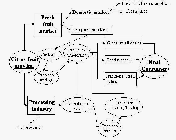 Commodity Chain- Florida's Natural Orange Juice: Florida's Natural ...