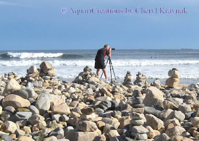 Windswept at the Beach: It was a Surf's Up! Sunday at Point Judith ...