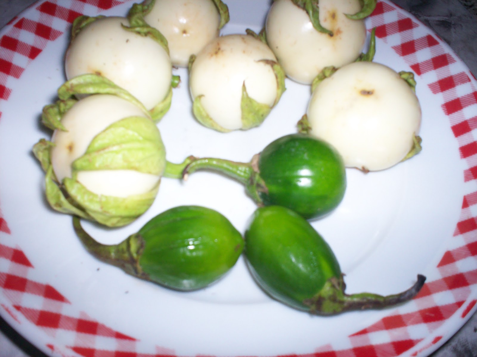 Nina Cozinha Simplesmente: "Feijão Branco Guisado de Verduras e Legumes"