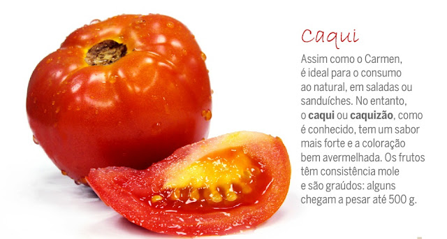 Tipos de tomate: conheça todos e saiba quais servem para fazer salada e ...