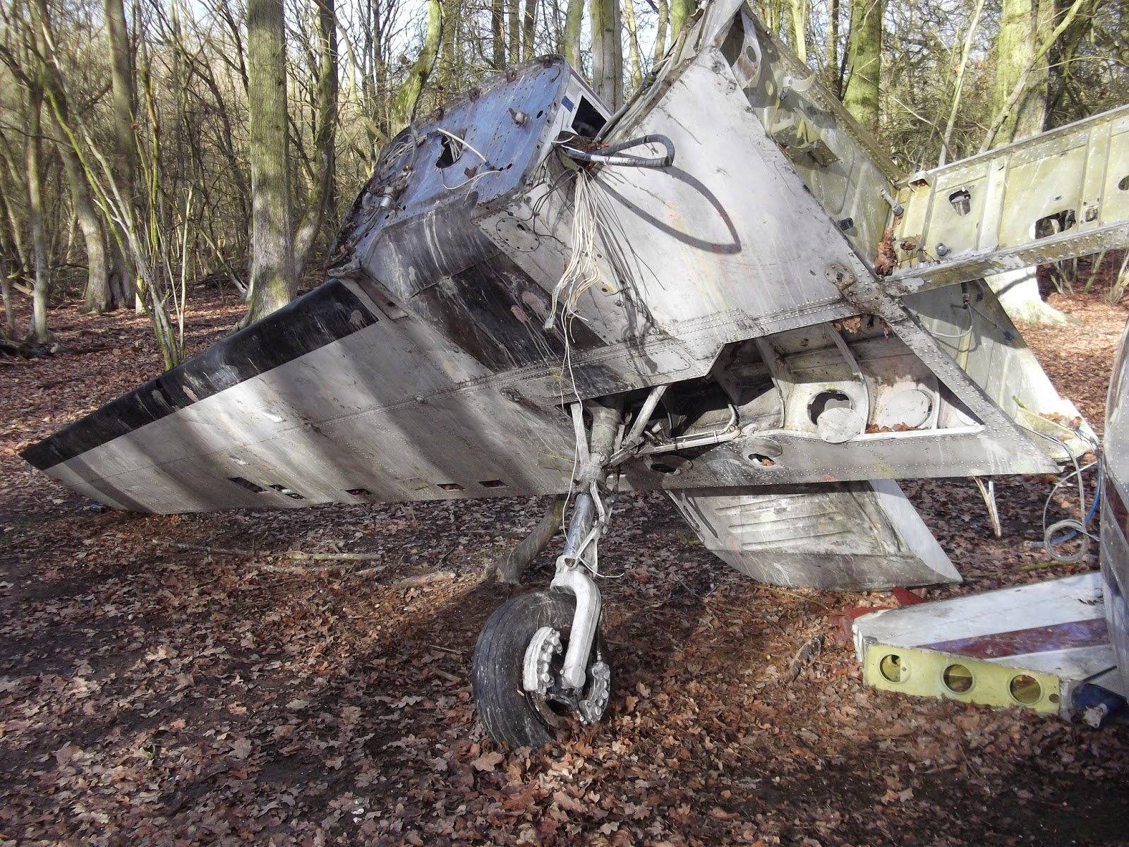 Dog Walk Explorers: Finmere (Airfield Walk)