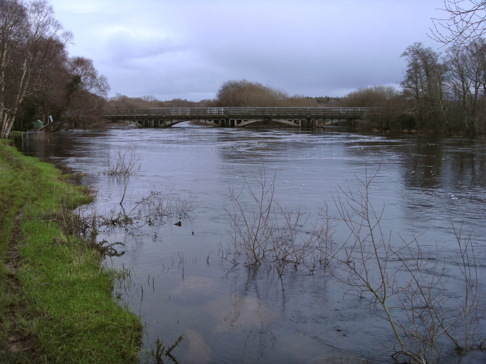 SALMON FISHING IRELAND 2021: Opening Day Salmon Season 2014," The Laune ...